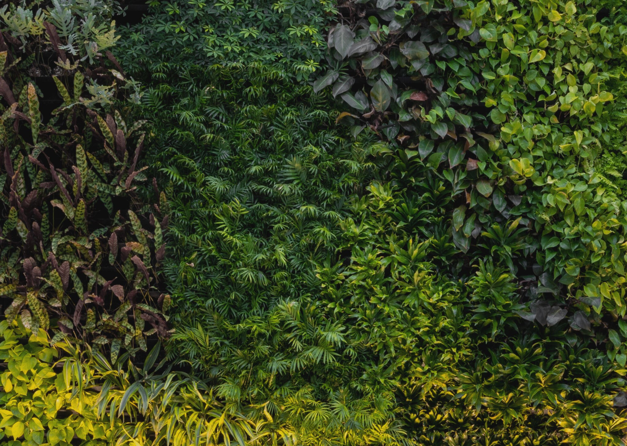 Office & Retail Availability – 200 West Madison